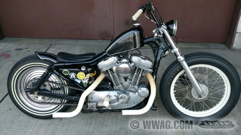 Evo sportster swingarm custom with white front rim and rear disc wheel ...
